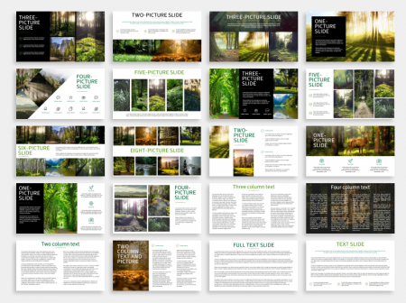 Forest- PowerPoint Template - Graphicfy