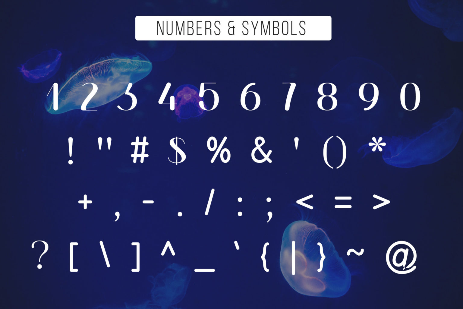 Aqua Modern Font - Serif Font - Graphicfy