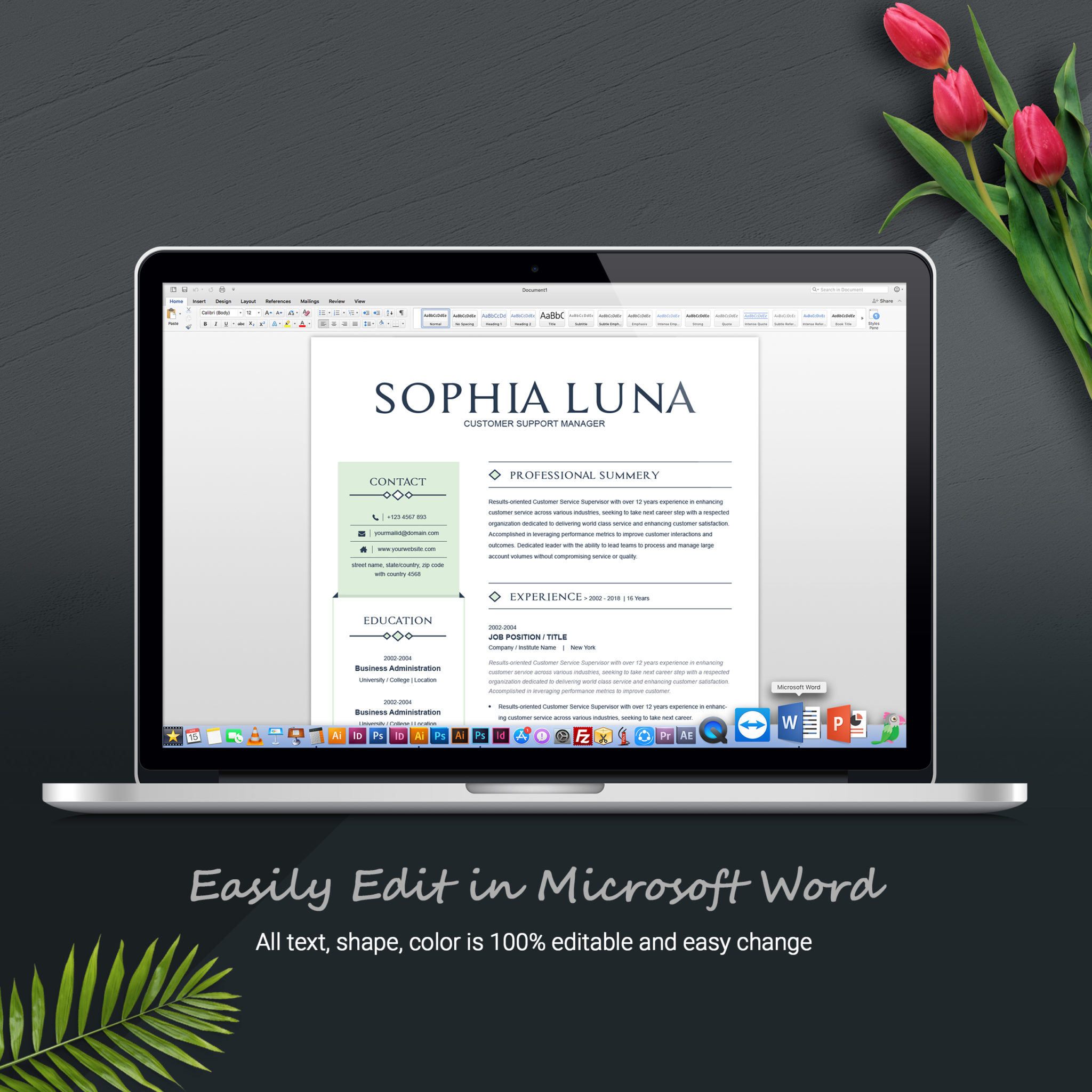 Professional, Modern Resume Design Template for Word & Pages - Graphicfy