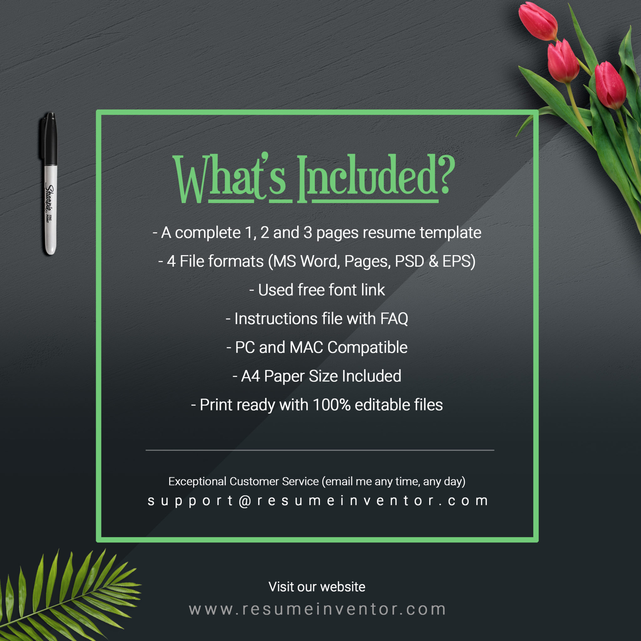 Professional, Modern Resume Design Template for Word & Pages - Graphicfy