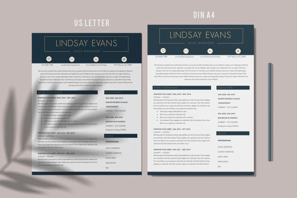 Professional Resume CV Bundle, Cover Letter, Reference Sheet - Graphicfy