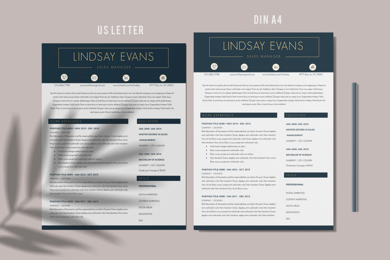 Professional Resume CV Bundle, Cover Letter, Reference Sheet - Graphicfy