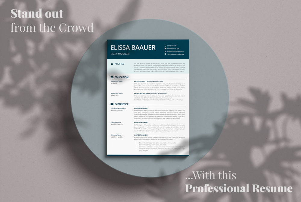 Professional Resume CV Biodata Template for MS Word or Pages - Graphicfy