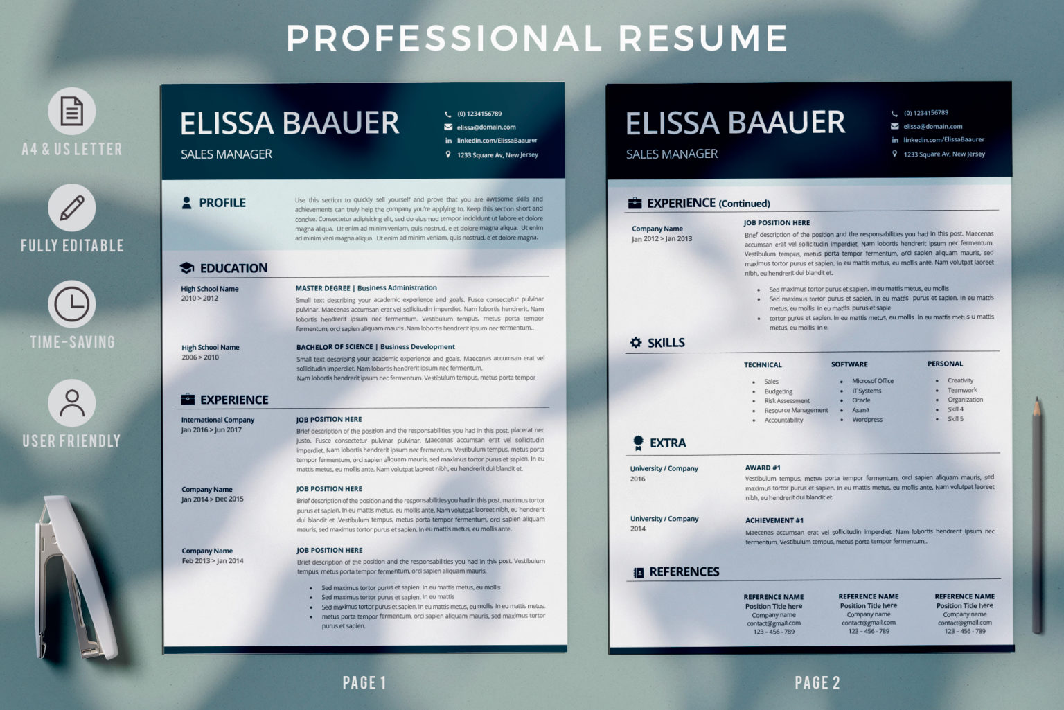 Professional Resume Cv Biodata Template For Ms Word Or Pages Graphicfy