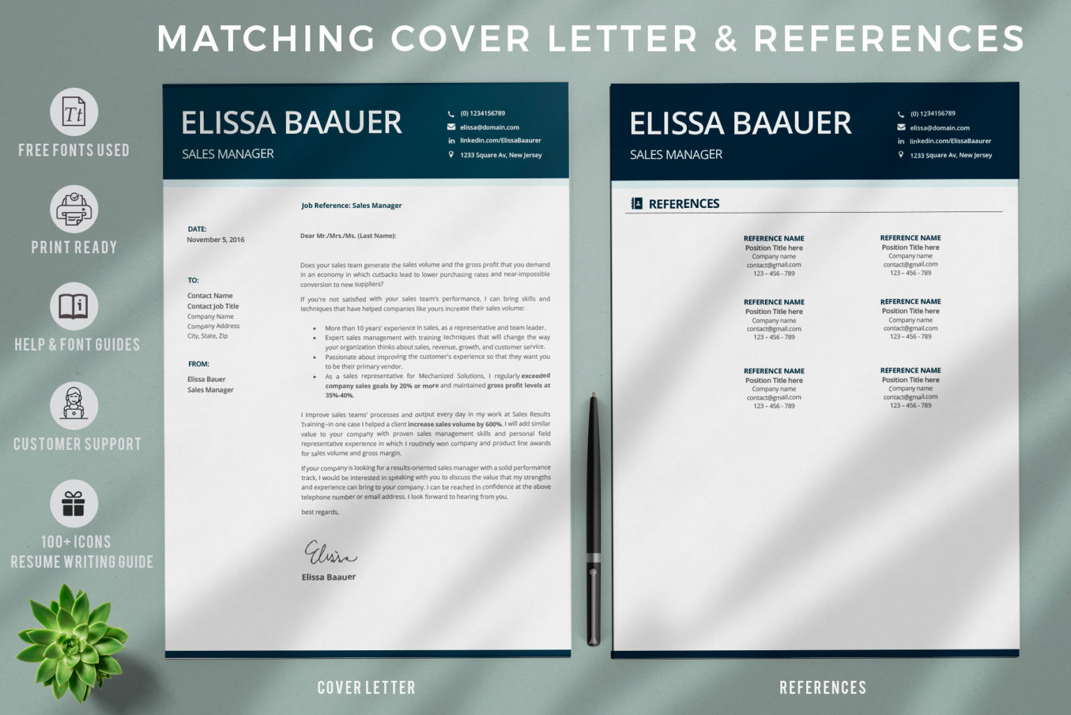 Professional Resume CV Biodata Template for MS Word or Pages - Graphicfy