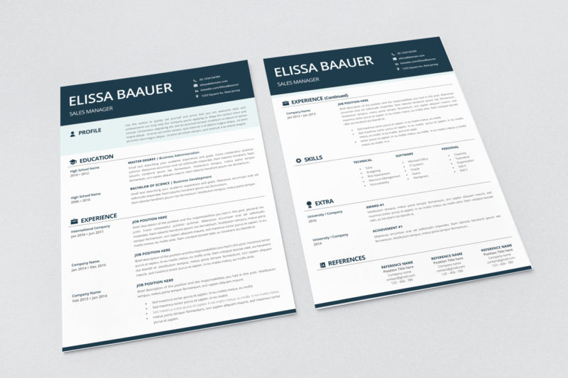 Professional Resume Cv Biodata Template For Ms Word Or Pages Graphicfy