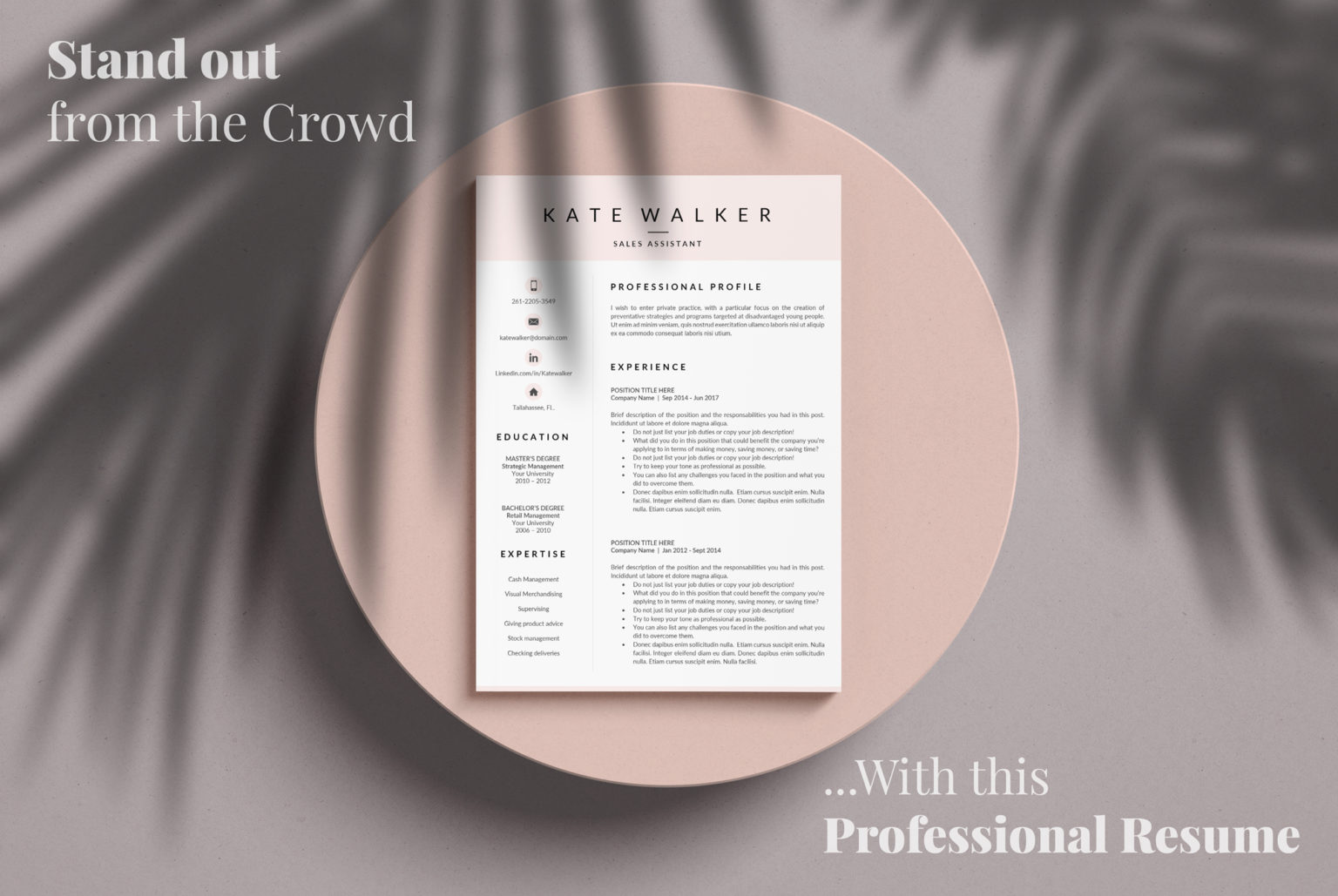 Professional Resume Template. 3 Page Resume. Example of CV - Graphicfy