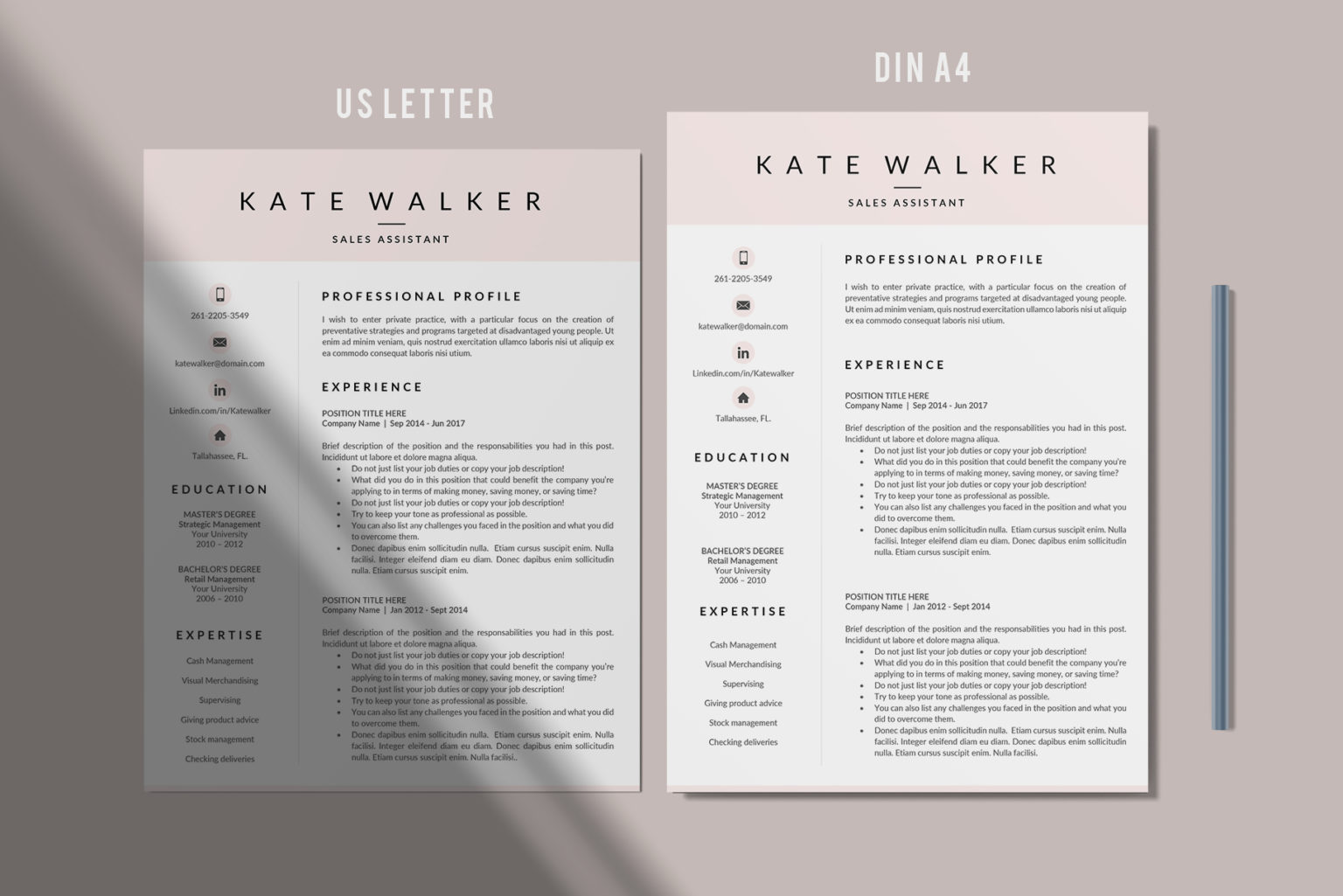 Professional Resume Template. 3 Page Resume. Example of CV - Graphicfy