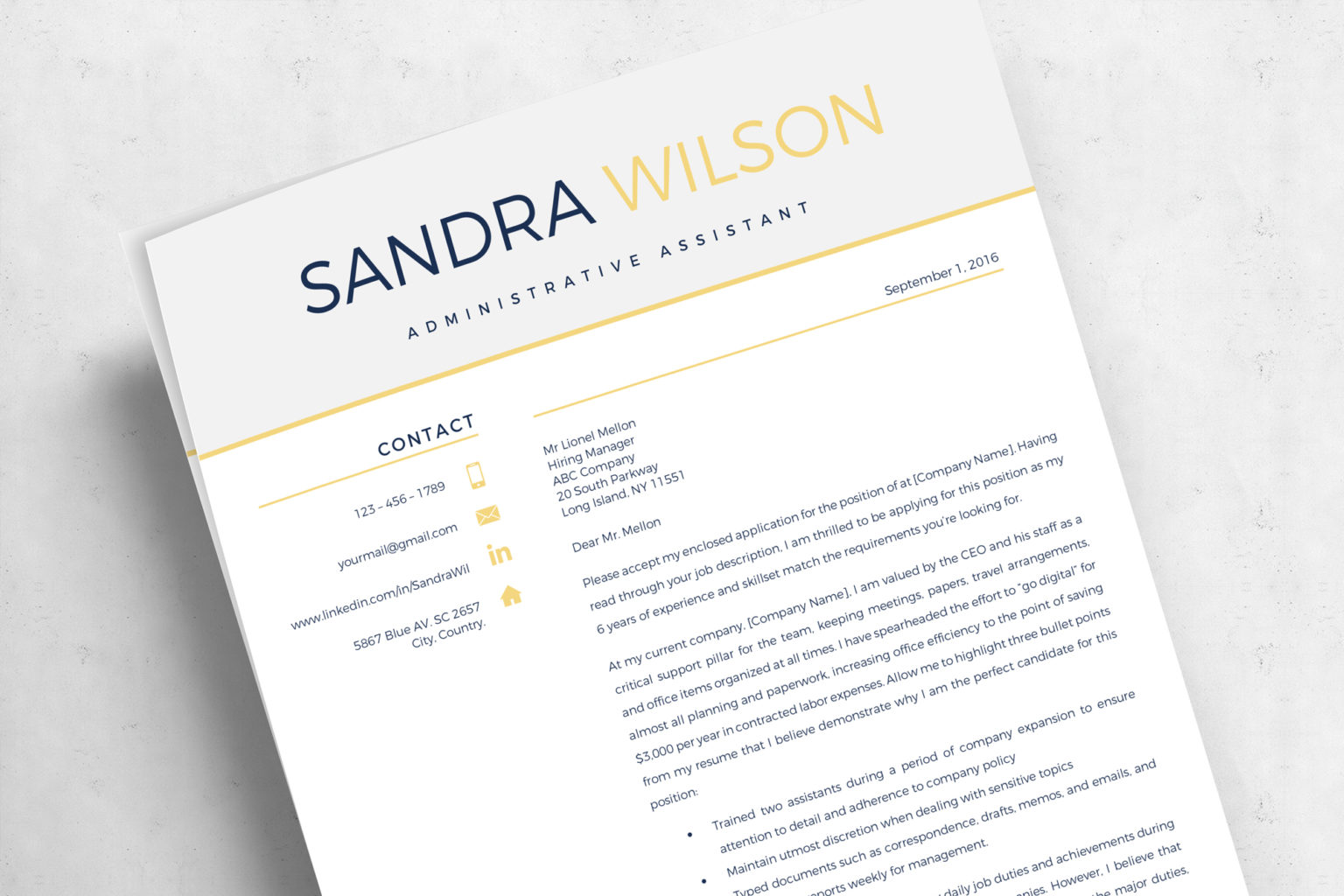 Professional Resume Template Bundle 3 in 1. Perfect CV Pack - Graphicfy