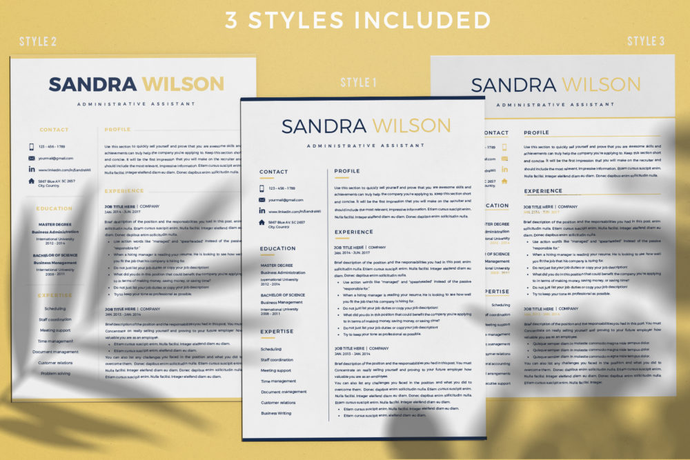 Professional Resume Template Bundle 3 in 1. Perfect CV Pack - Graphicfy