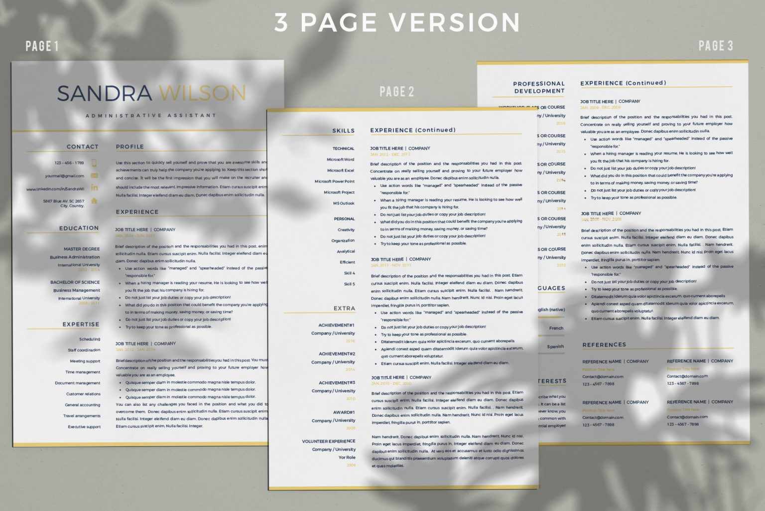 Professional Resume Template Bundle 3 in 1. Perfect CV Pack - Graphicfy