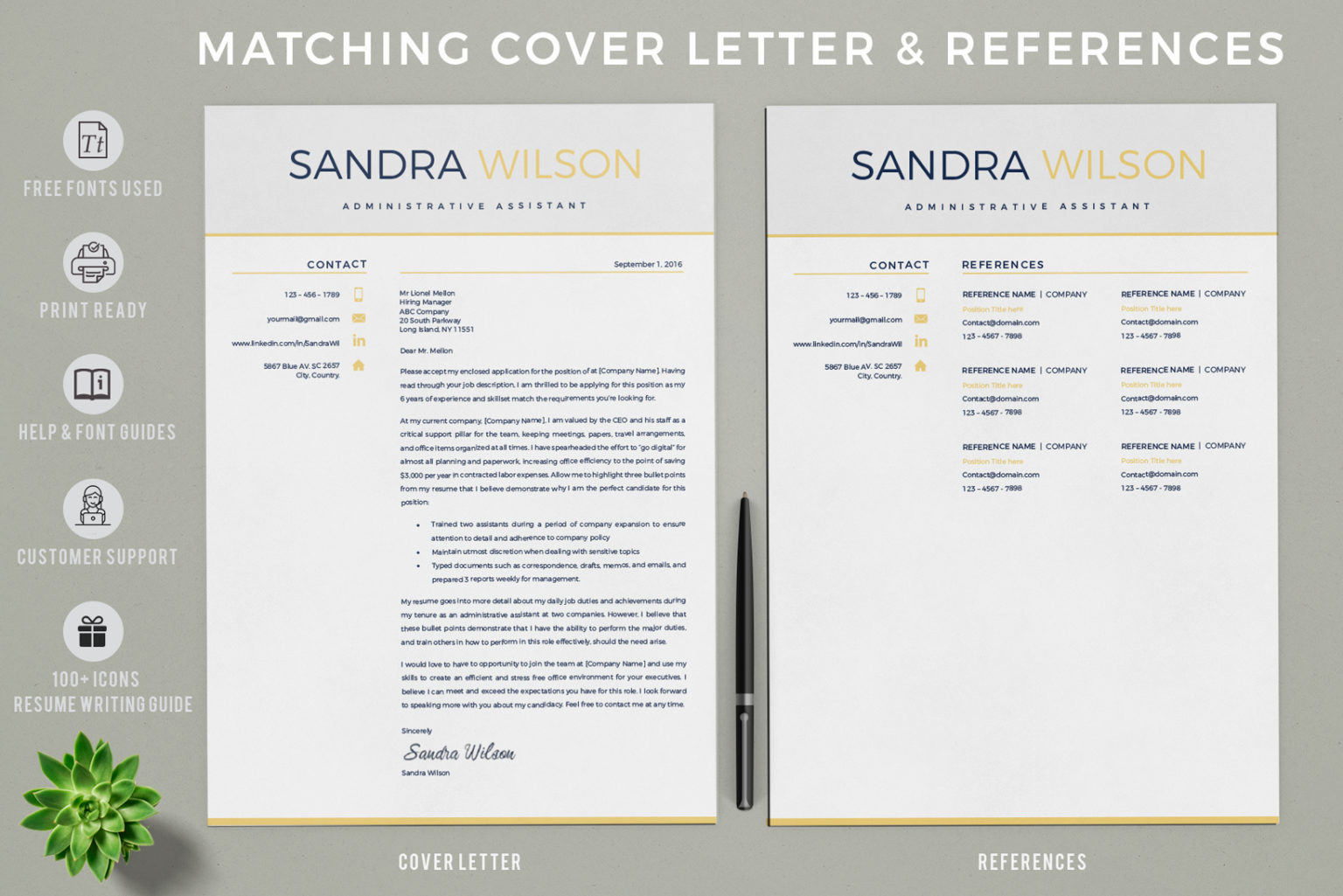 Professional Resume Template Bundle 3 in 1. Perfect CV Pack - Graphicfy