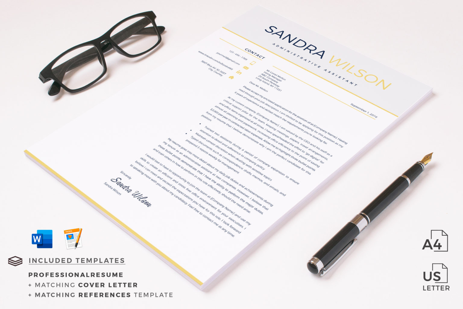 Professional Resume Template Bundle 3 in 1. Perfect CV Pack - Graphicfy