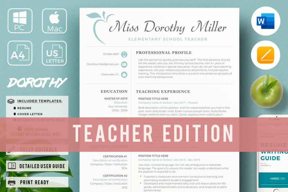 Elementary School Teacher Resume Example for Word and Pages - Graphicfy