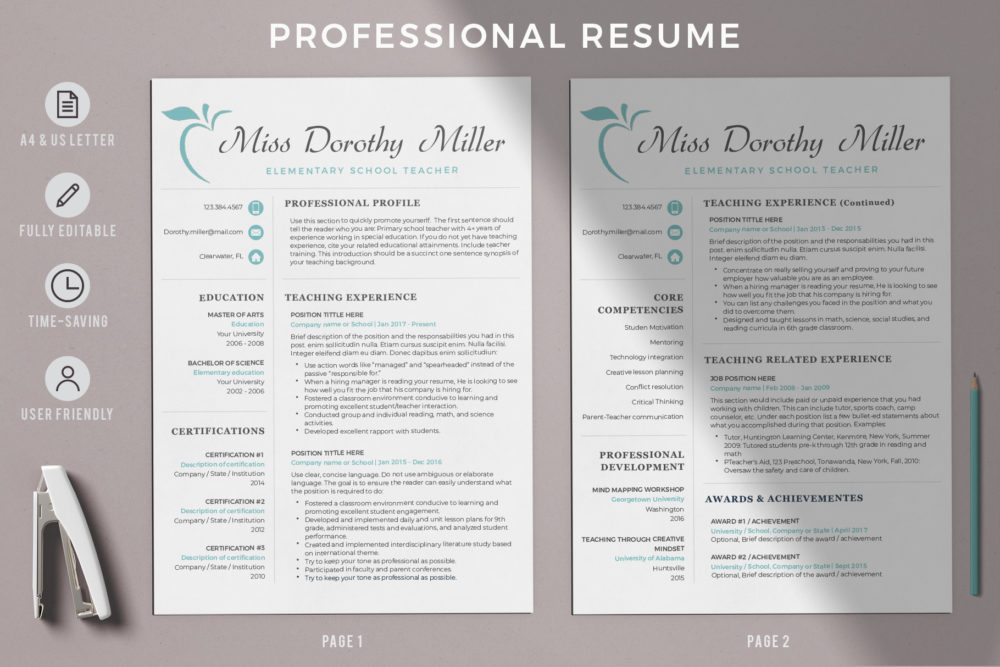 Elementary School Teacher Resume Example for Word and Pages - Graphicfy