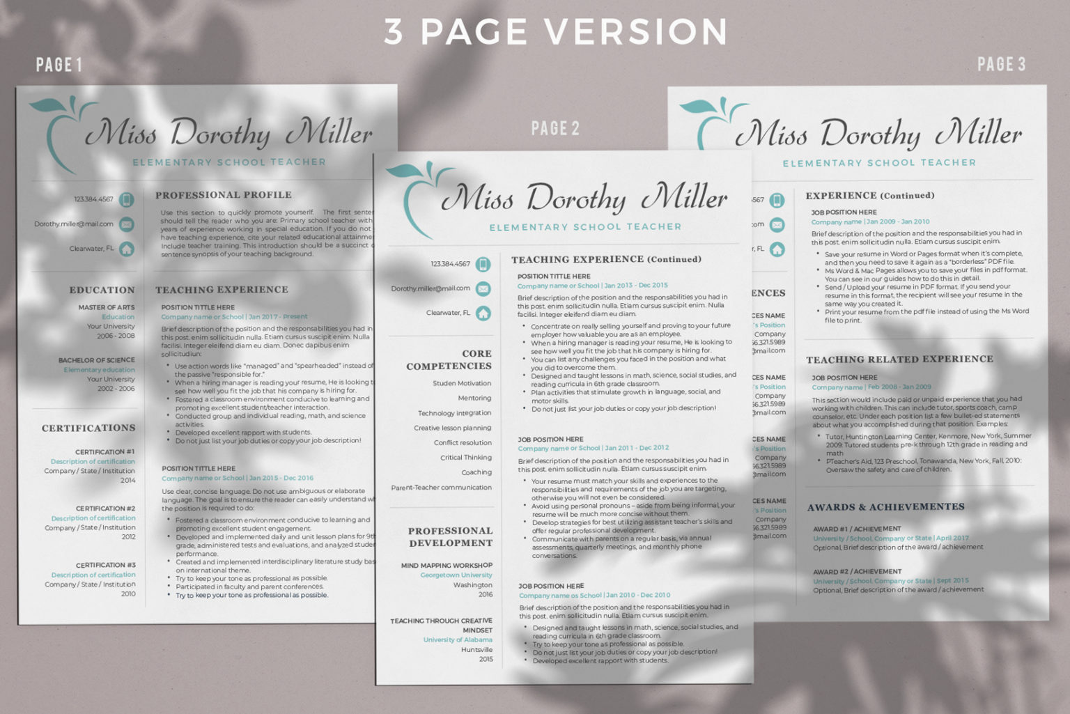 Elementary School Teacher Resume Example for Word and Pages - Graphicfy