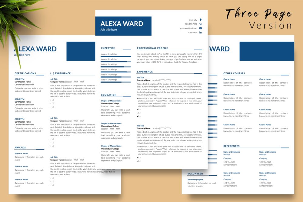 Professional Resume Format for Microsoft Word & Apple Pages - Graphicfy