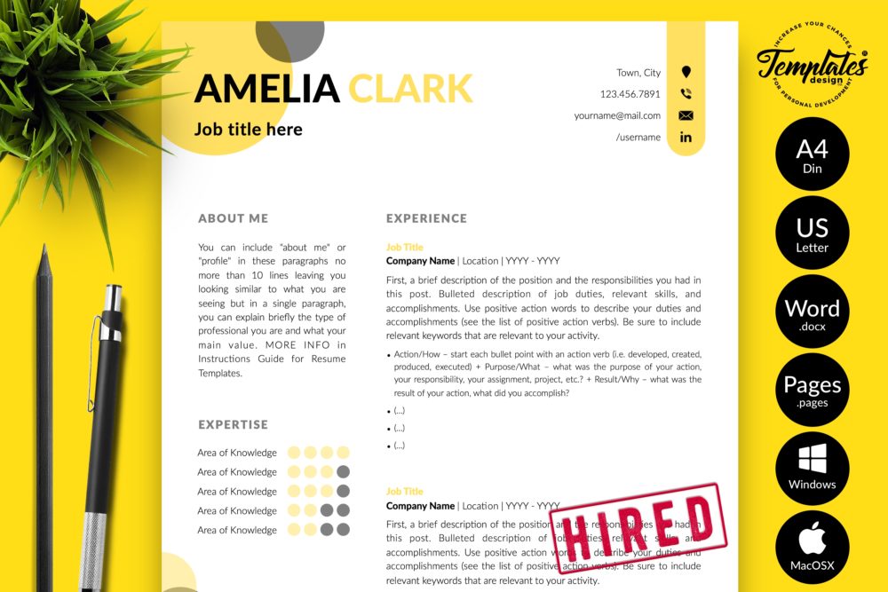 Resumes CV Templates - Graphicfy