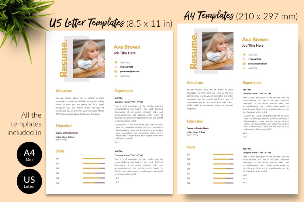 Present-Day CV for Any Job for Microsoft Word & Apple Pages - Graphicfy