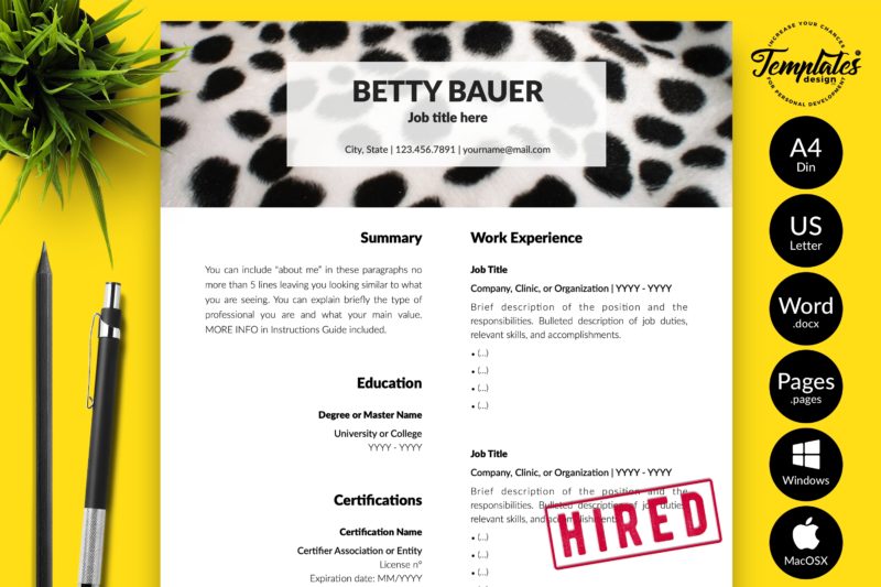 Resumes CV Templates - Graphicfy