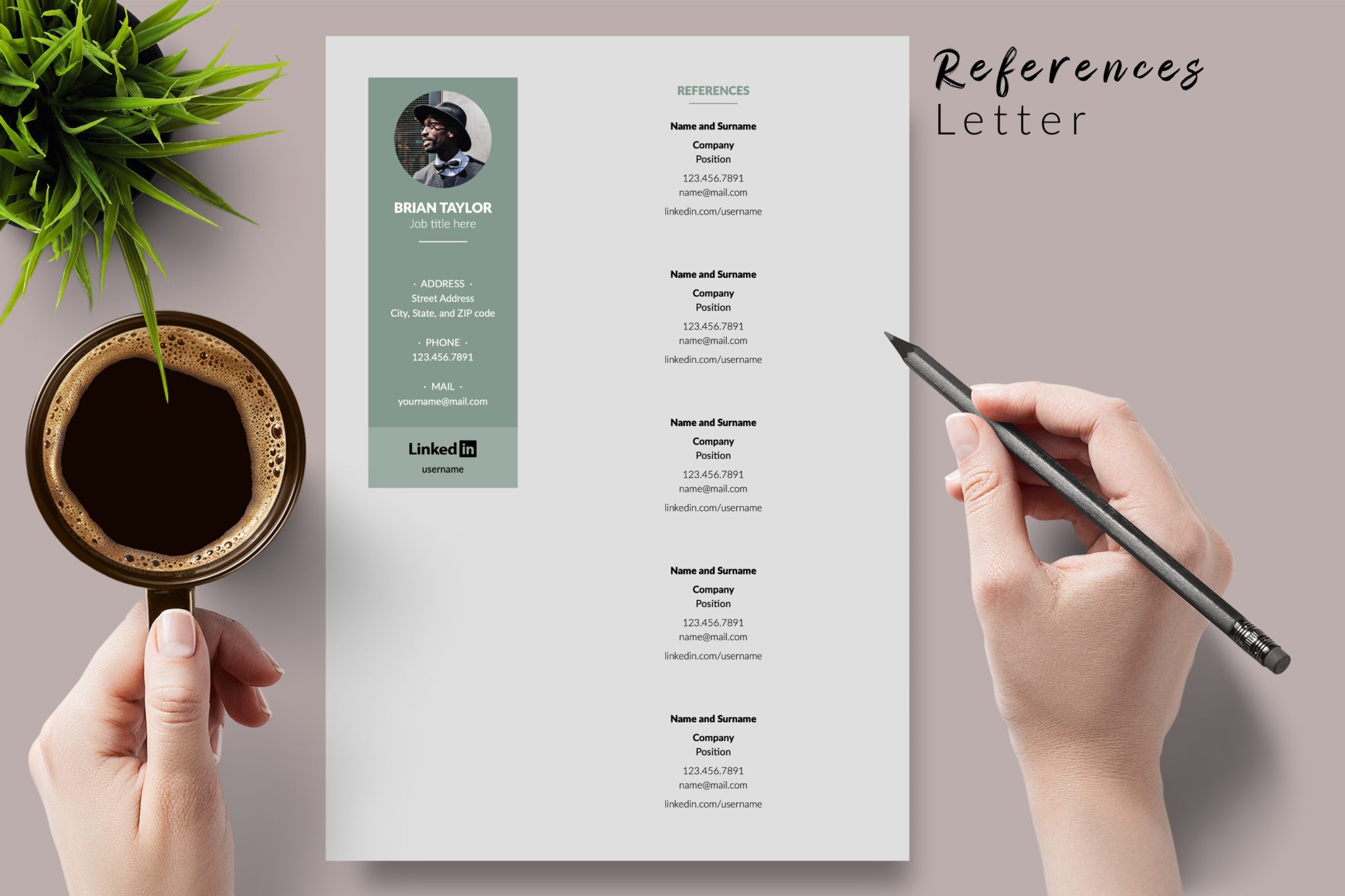 Sophisticated CV Template for Microsoft Word & Apple Pages - Graphicfy