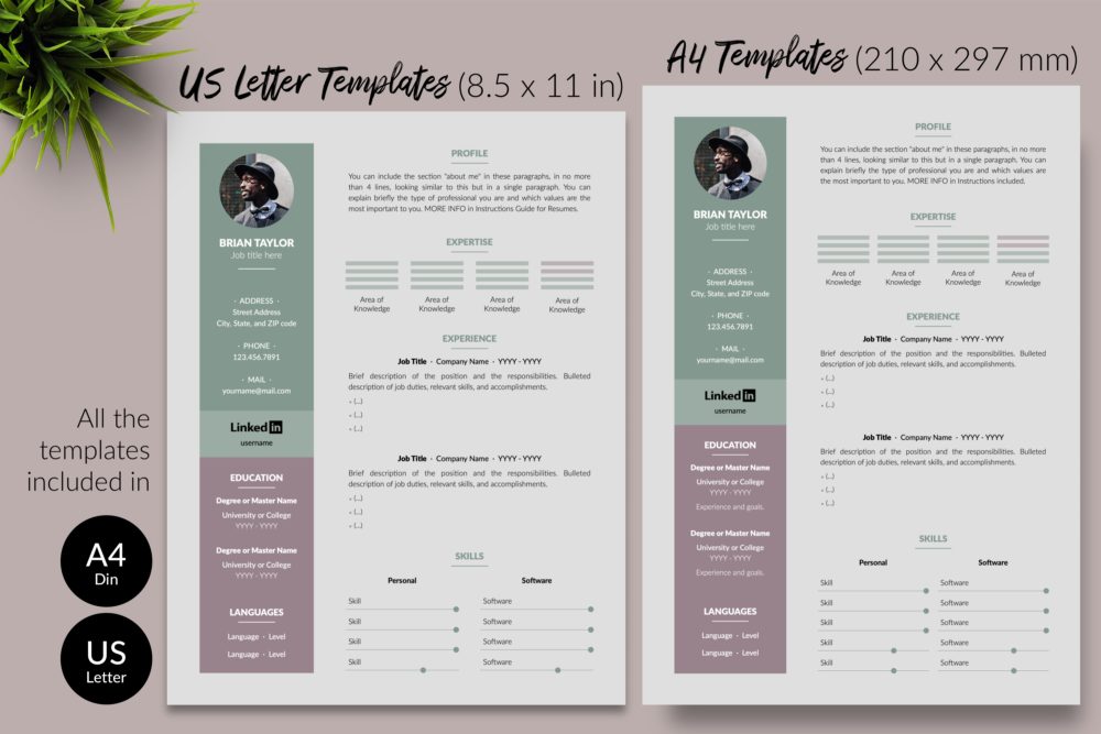Sophisticated CV Template for Microsoft Word & Apple Pages - Graphicfy