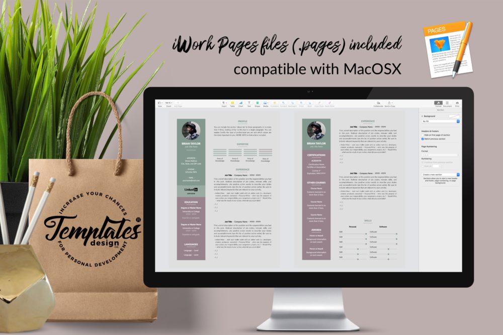 Sophisticated CV Template for Microsoft Word & Apple Pages - Graphicfy
