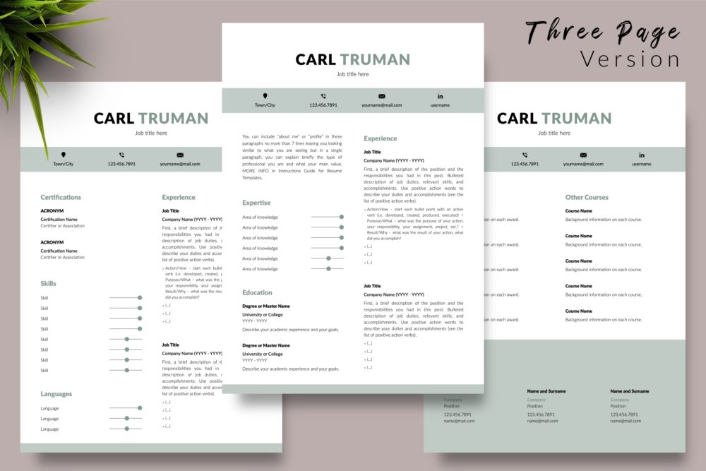 Professional Resume Format for Microsoft Word & Apple Pages - Graphicfy