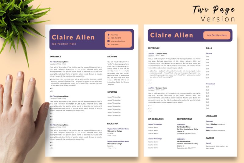 Modern CV Layout for a Job for Microsoft Word & Apple Pages - Graphicfy