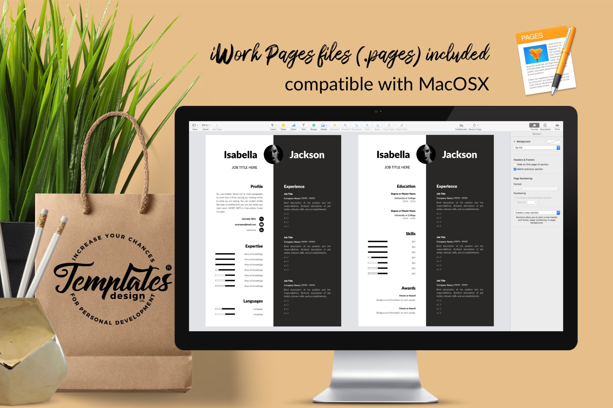 Modern Resume for Managers for Microsoft Word & Apple Pages - Graphicfy