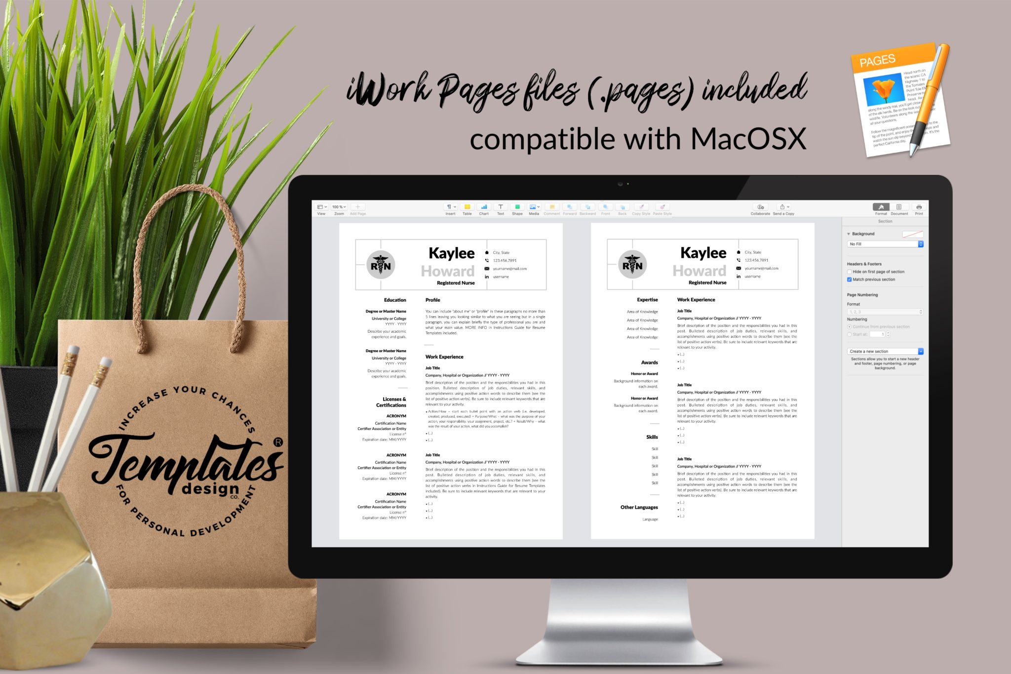 Registered Nurse Resume for Microsoft Word & Apple Pages - Graphicfy