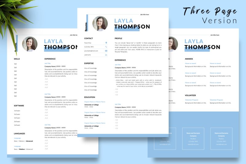 Clean Resume for Any Job for Microsoft Word & Apple Pages - Graphicfy