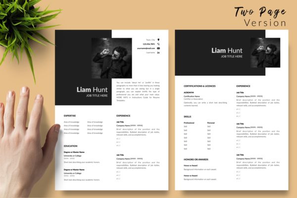 Professional Resume Example for Microsoft Word & Apple Pages - Graphicfy