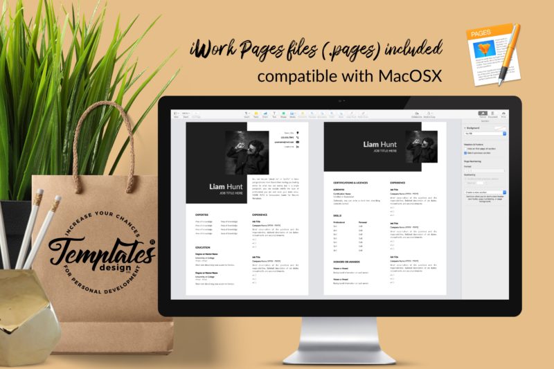 Professional Resume Example for Microsoft Word & Apple Pages - Graphicfy