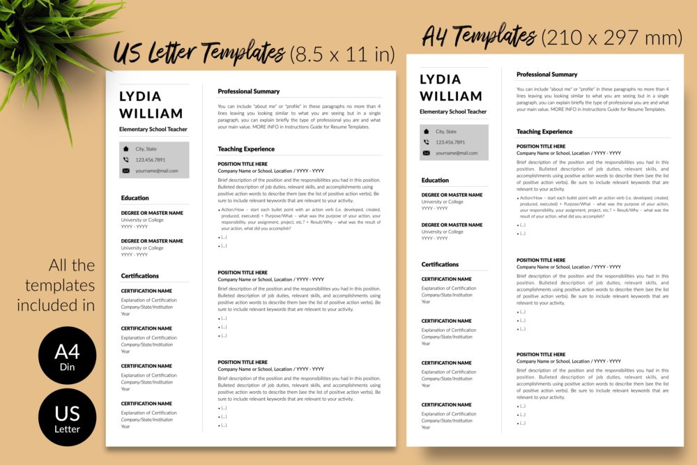 Professional Teacher Resume for Microsoft Word & Apple Pages - Graphicfy