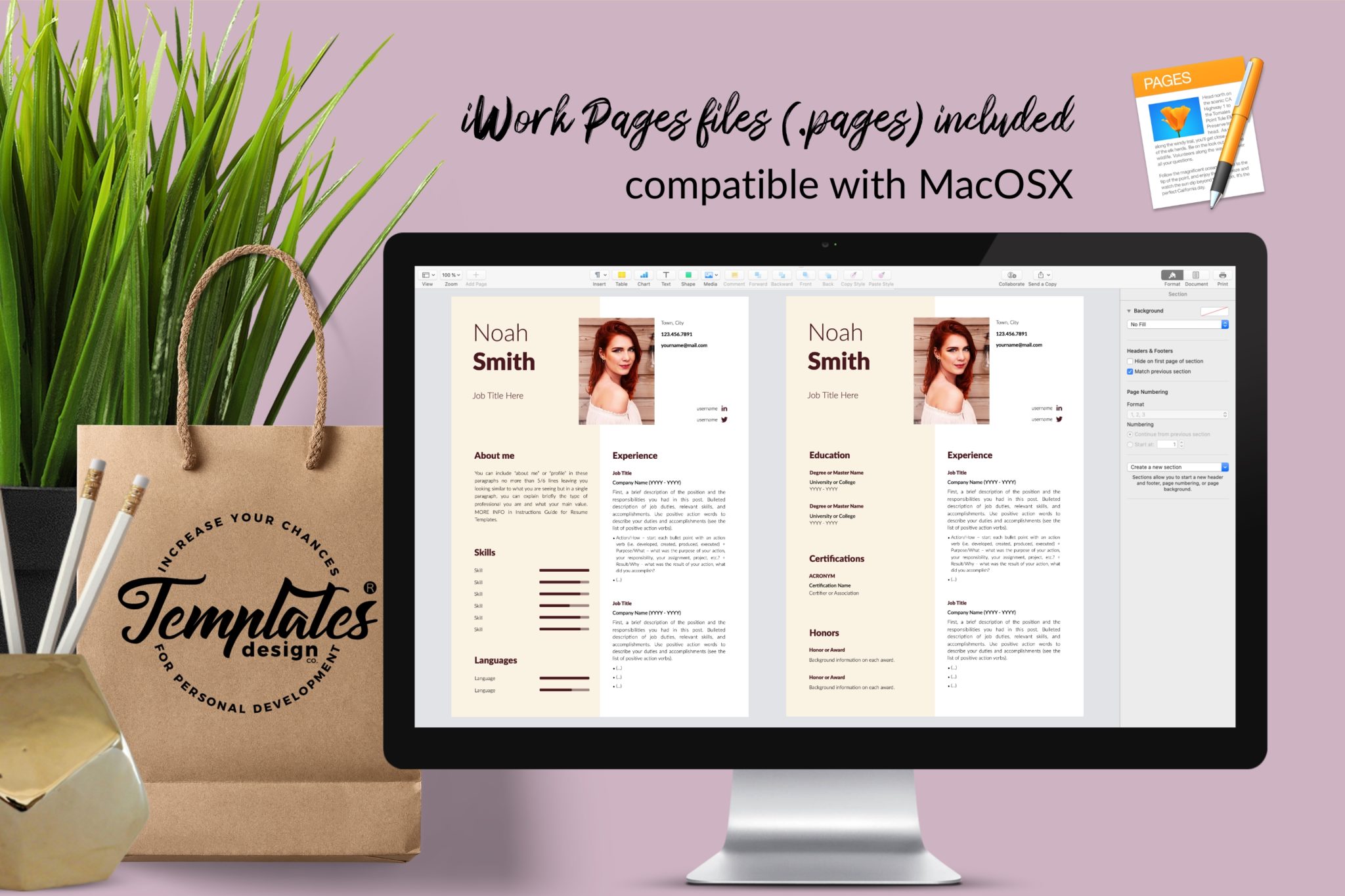 Sophisticated CV Design for Microsoft Word & Apple Pages - Graphicfy