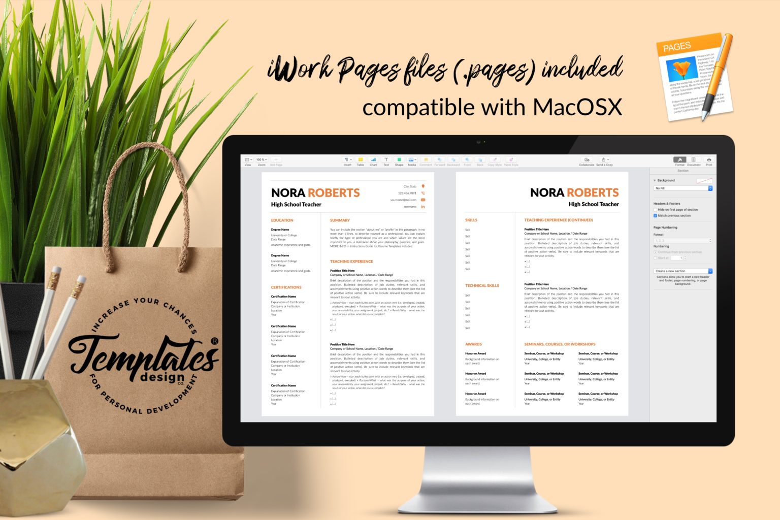 Teacher CV Template for Microsoft Word & Apple Pages - Graphicfy
