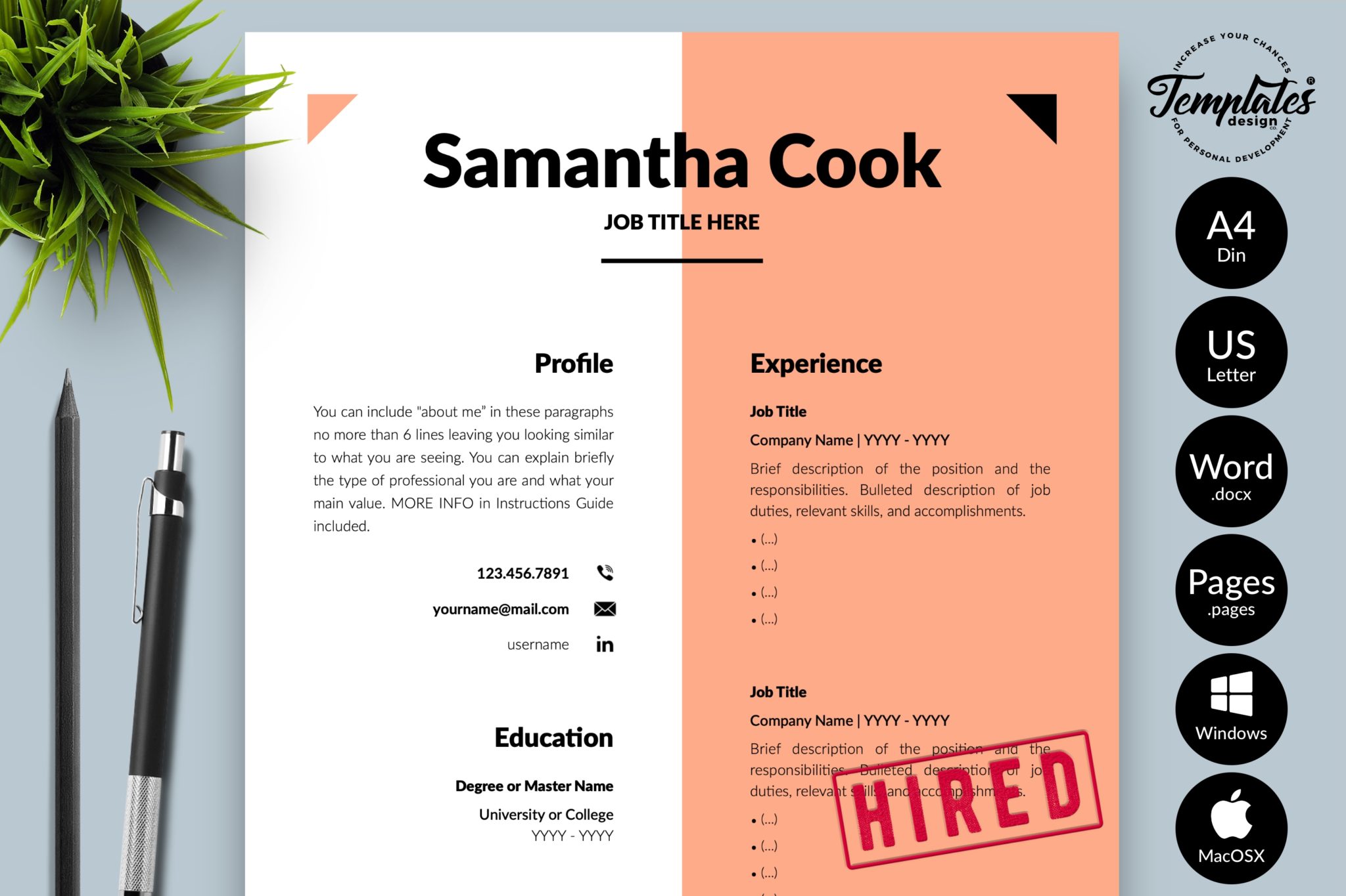Female Resume Design Sample for Microsoft Word & Apple Pages - Graphicfy