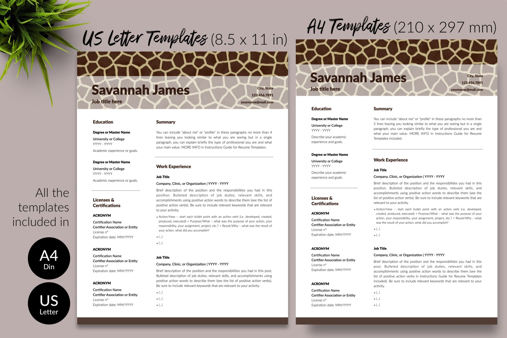 Zoologist Resume Template for Microsoft Word & Apple Pages - Graphicfy