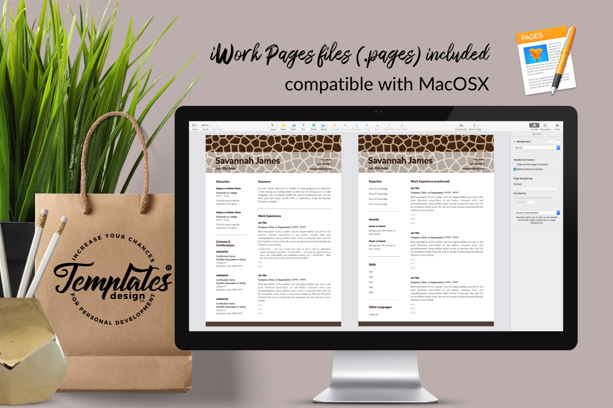 Zoologist Resume Template for Microsoft Word & Apple Pages - Graphicfy