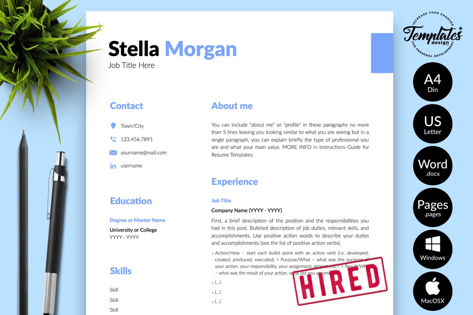 Clean Resume CV Format for Microsoft Word & Apple Pages - Graphicfy