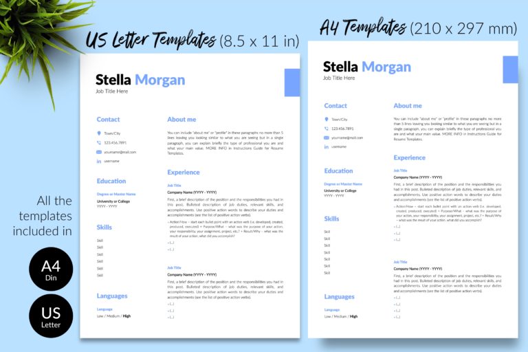 Clean Resume CV Format for Microsoft Word & Apple Pages - Graphicfy