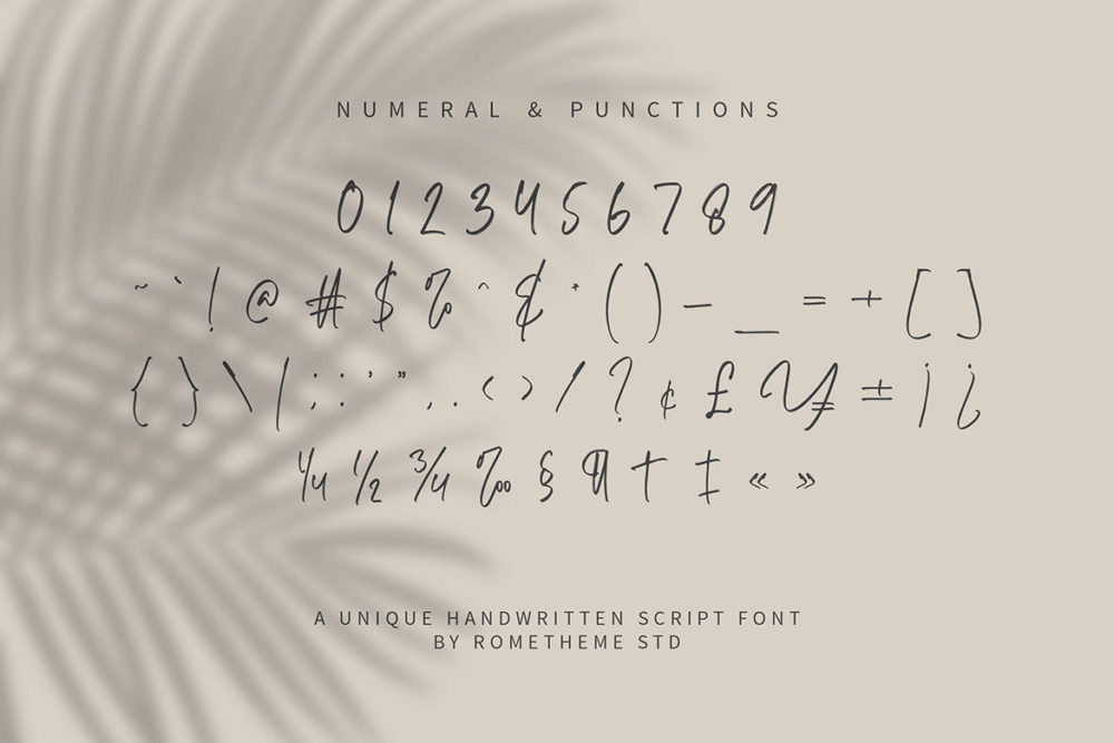 The Morgan - Signature Script Font - Graphicfy