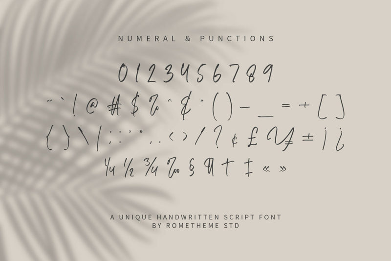 The Morgan - Signature Script Font - Graphicfy