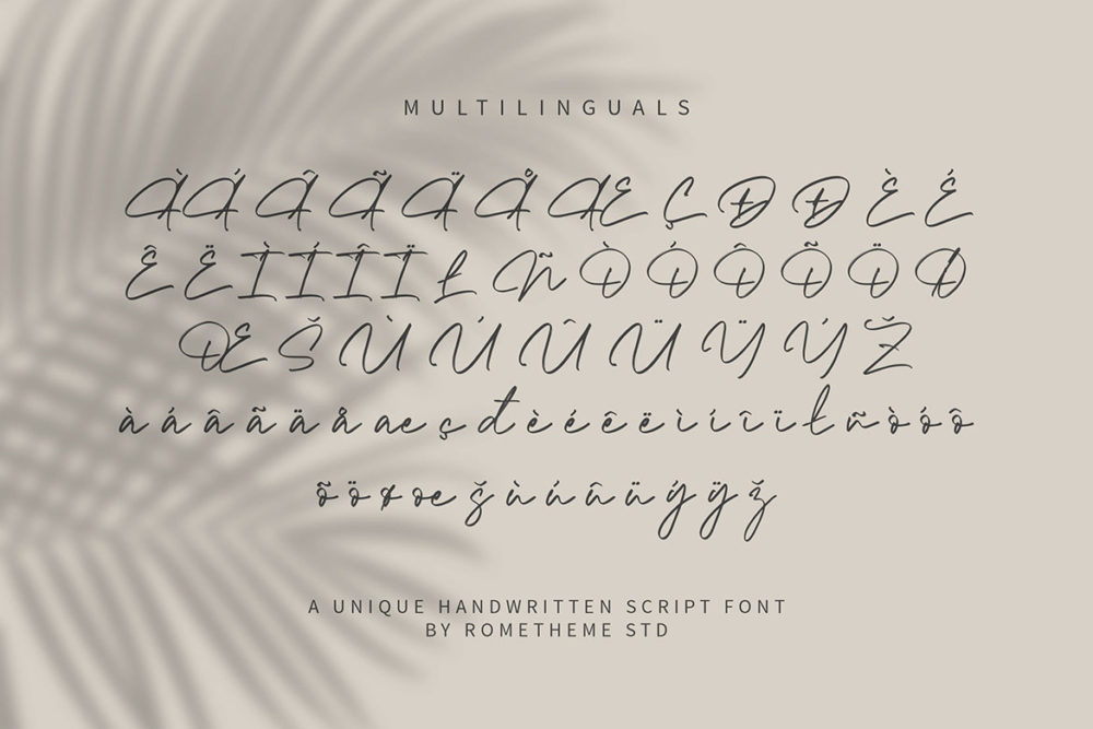 The Morgan - Signature Script Font - Graphicfy