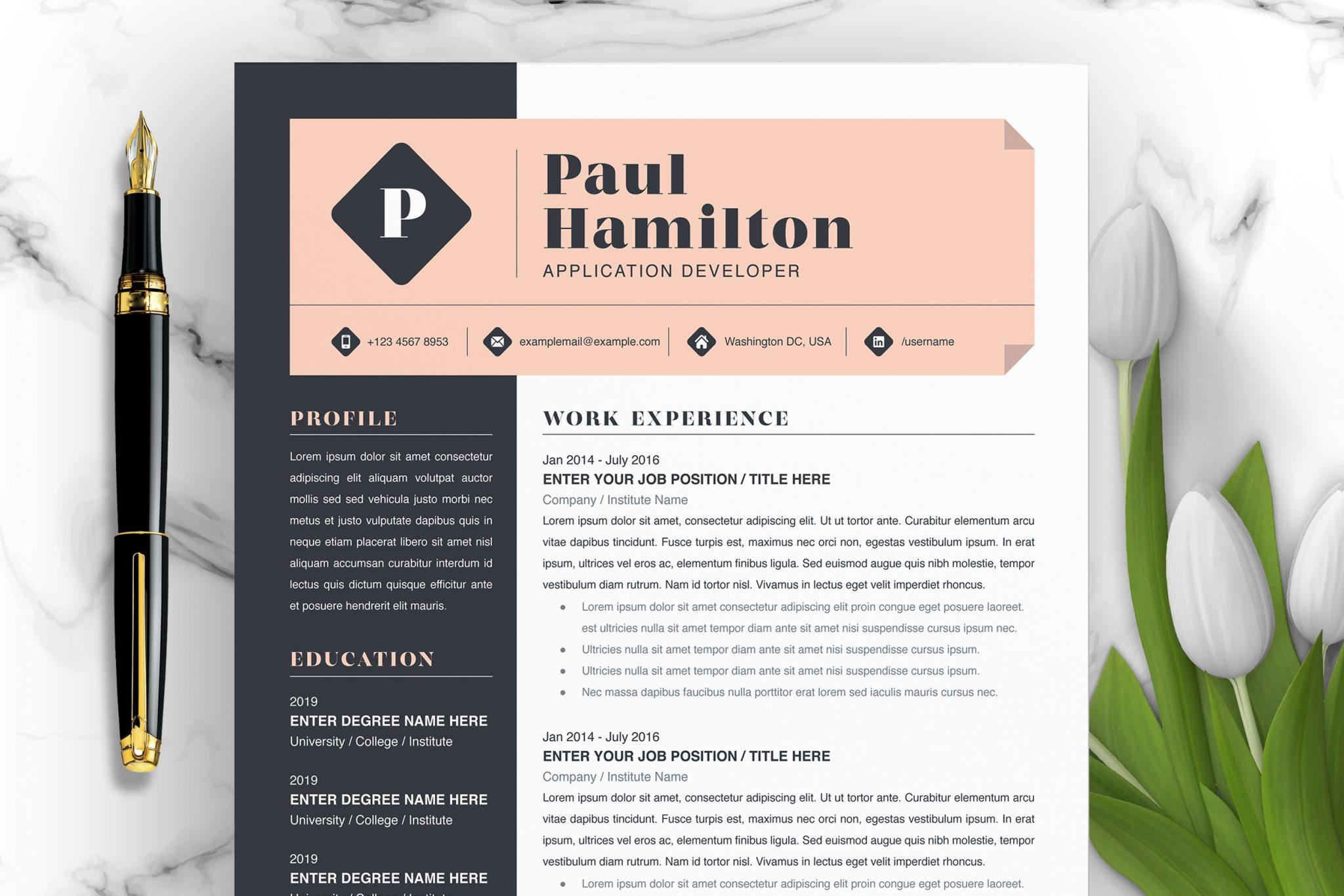 Modern Resume Template Format [Word] - Graphicfy