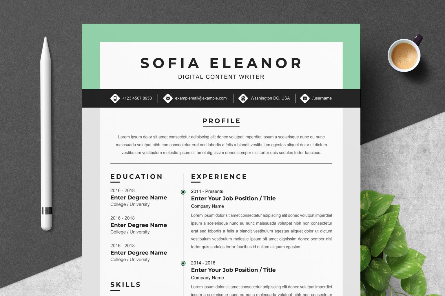 Professional Creative Resume / CV - Graphicfy