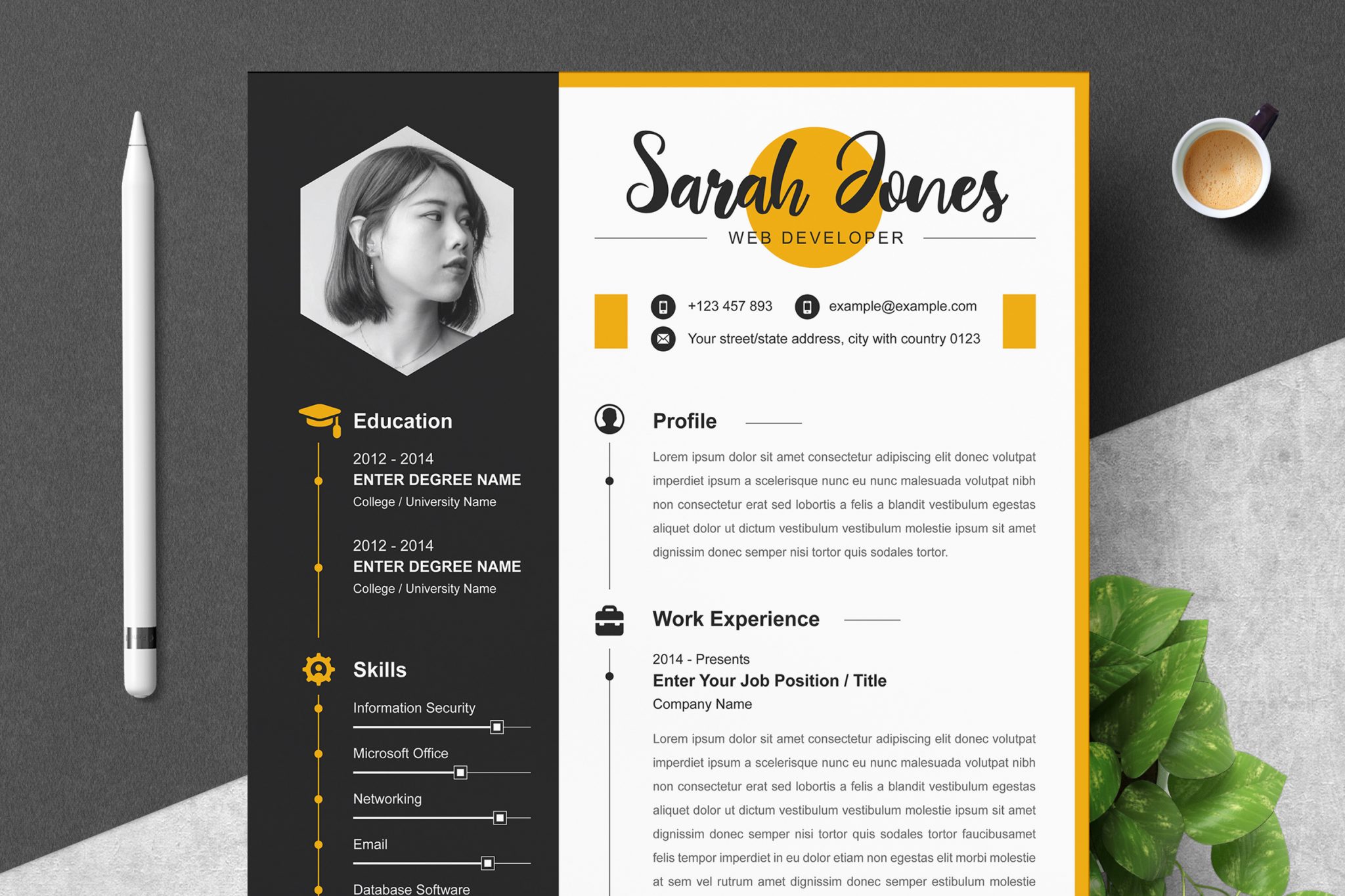 Professional Creative Resume / CV - Graphicfy