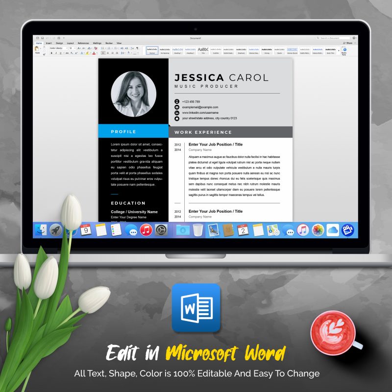 Word Professional Resume Template - Graphicfy